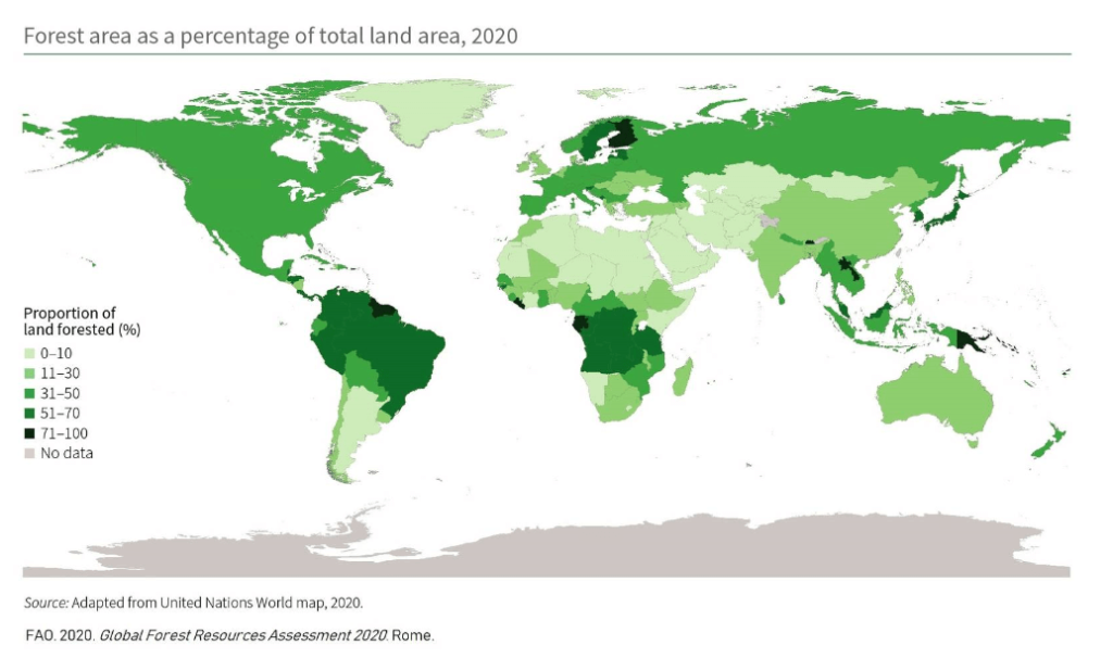 World's Forests Map